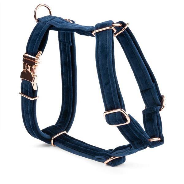 ESME FOR DOG Veluurist koerarihm - indigo