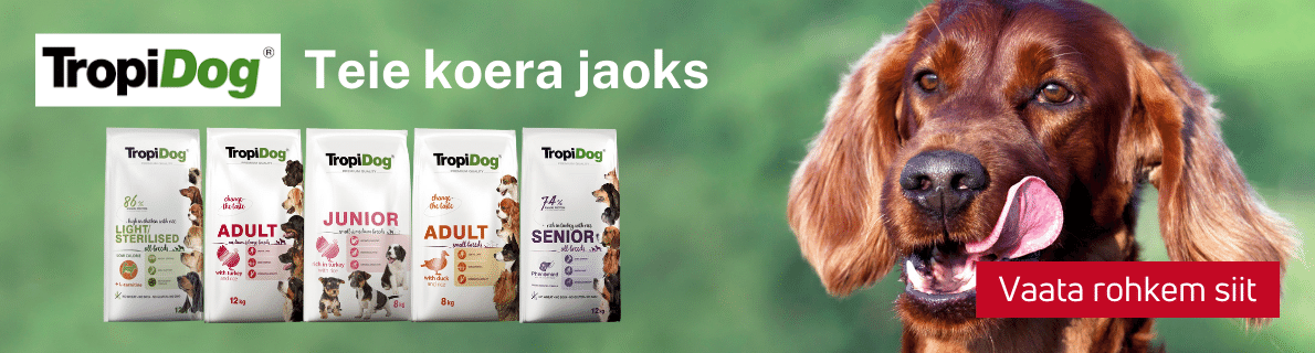 Koeratoit | Suurim valik koeratoitu | Fera.ee